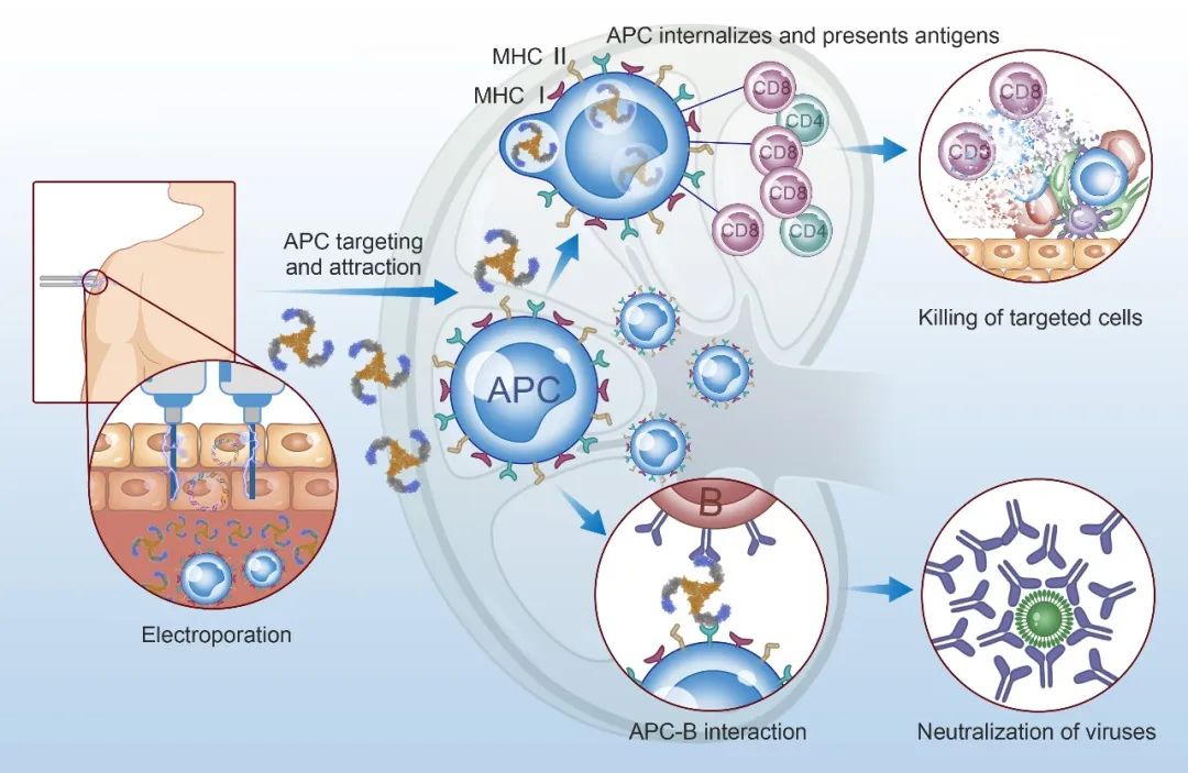 诺未携手蒋建东院士团队共建STARi平台，攻关真正的“中国原创”核酸新药！ - 诺未生物