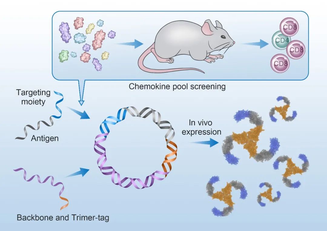 诺未携手蒋建东院士团队共建STARi平台，攻关真正的“中国原创”核酸新药！ - 诺未生物